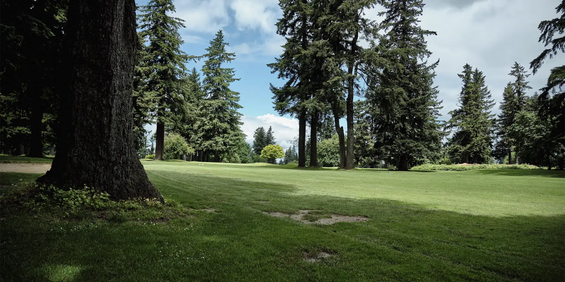 DGPT Northwest Disc Golf Championship Presented By Latitude 64 PDGA Live DGPT Northwest Disc Golf Championship Presented By Latitude 64 PDGA Live