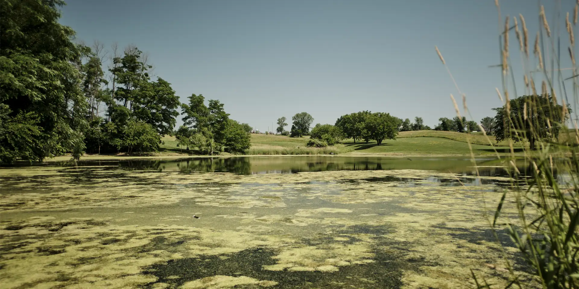 Discmania Challenge presented by TruBank · PDGA Live